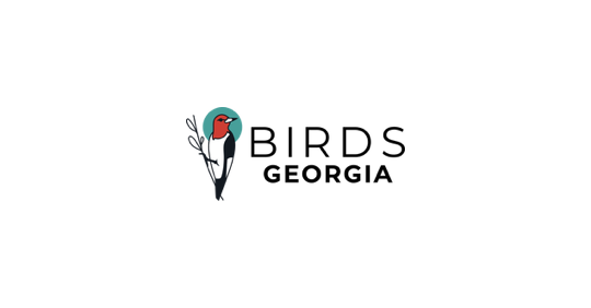 Job Listings - Birds Georgia Jobs